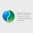 INTOSAI WGEA | U-INTOSAI