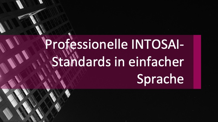 Professionelle INTOSAI-Standards in einfacher Sprache | U-INTOSAI